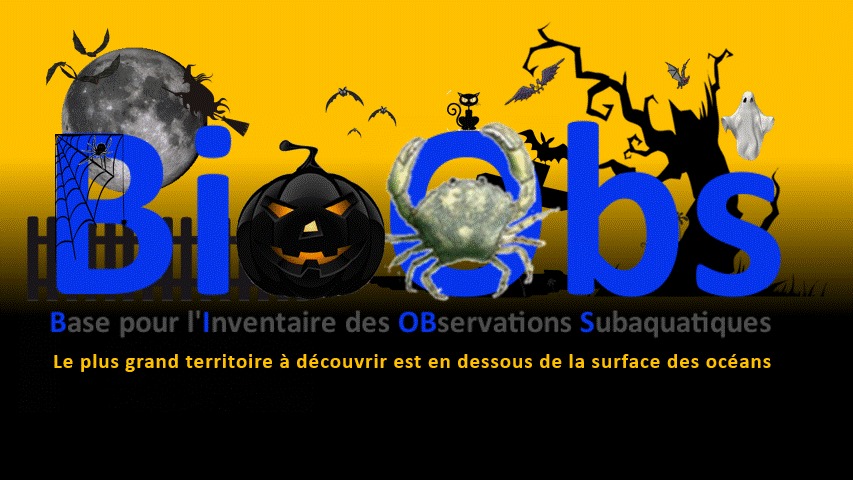 La Newsletter de BioObs (Octobre 2022) - BioObs