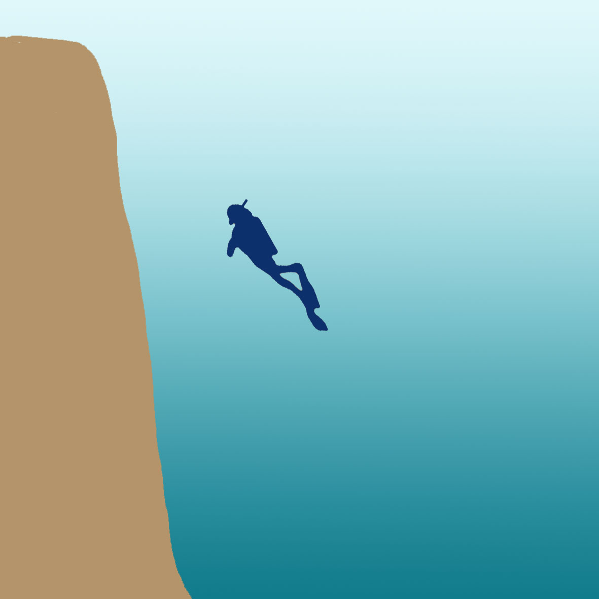 Blocs, roches ou tombants rocheux éclairés (hors coralligène) | BioObs